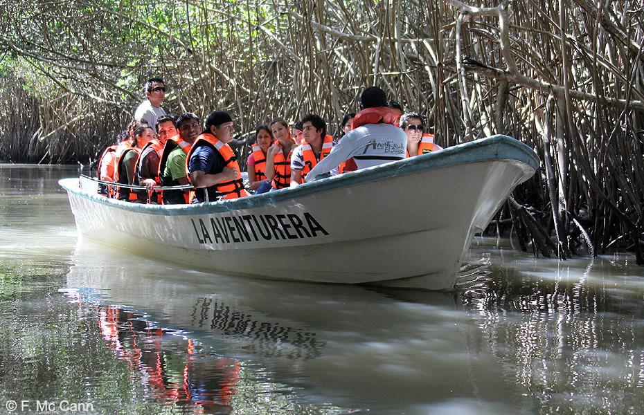 AVENTÚRATE POR EL ESTERO EL SALADO | Blog